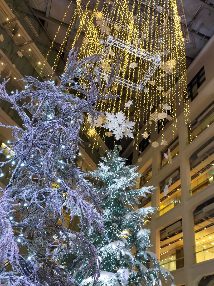 KITTEクリスマス | GANREF