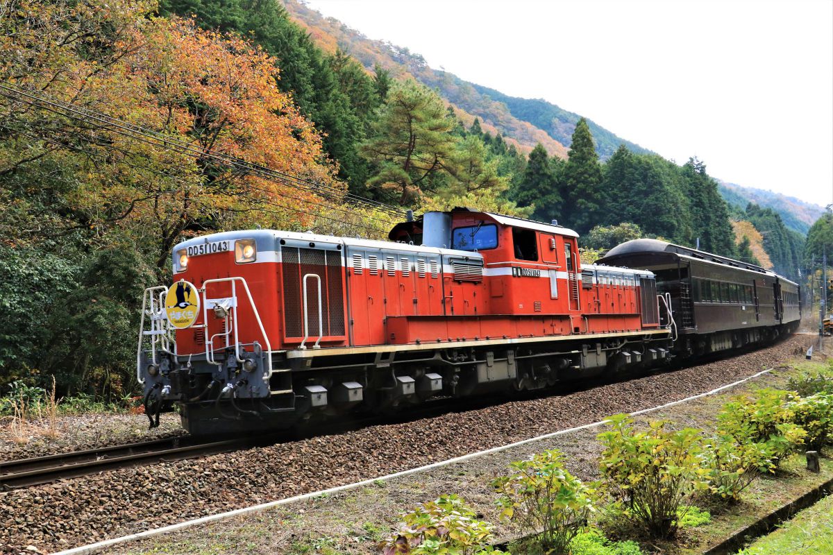 DLやまぐち号~ラストラン~ | GANREF