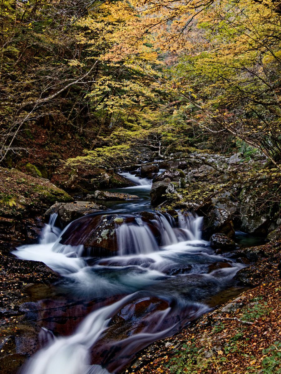 登山百渓 6 | GANREF