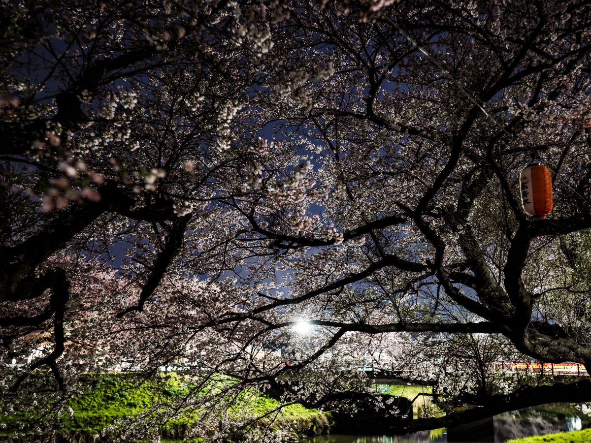 うっそうと | GANREF