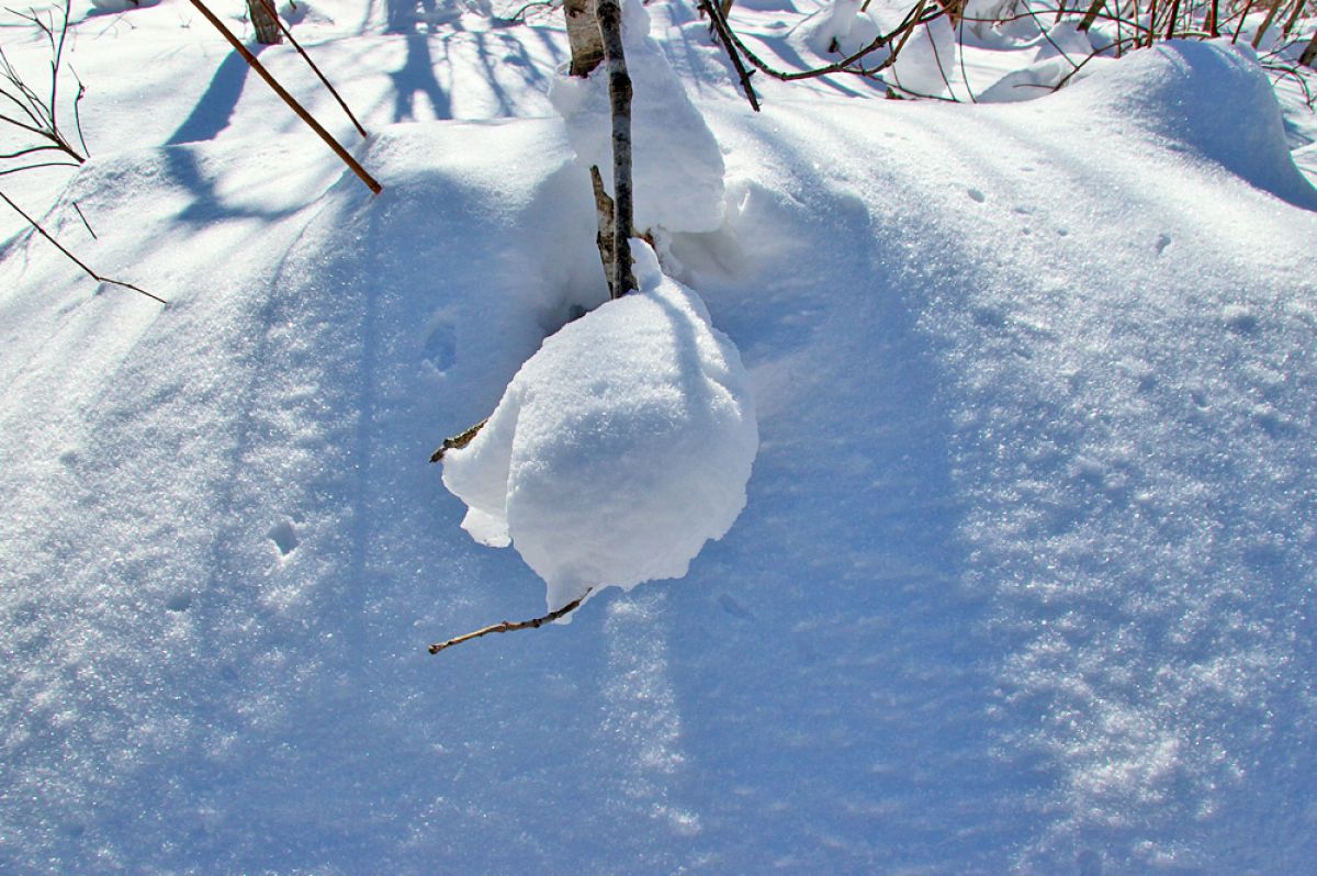白馬村の冬景（24） | GANREF