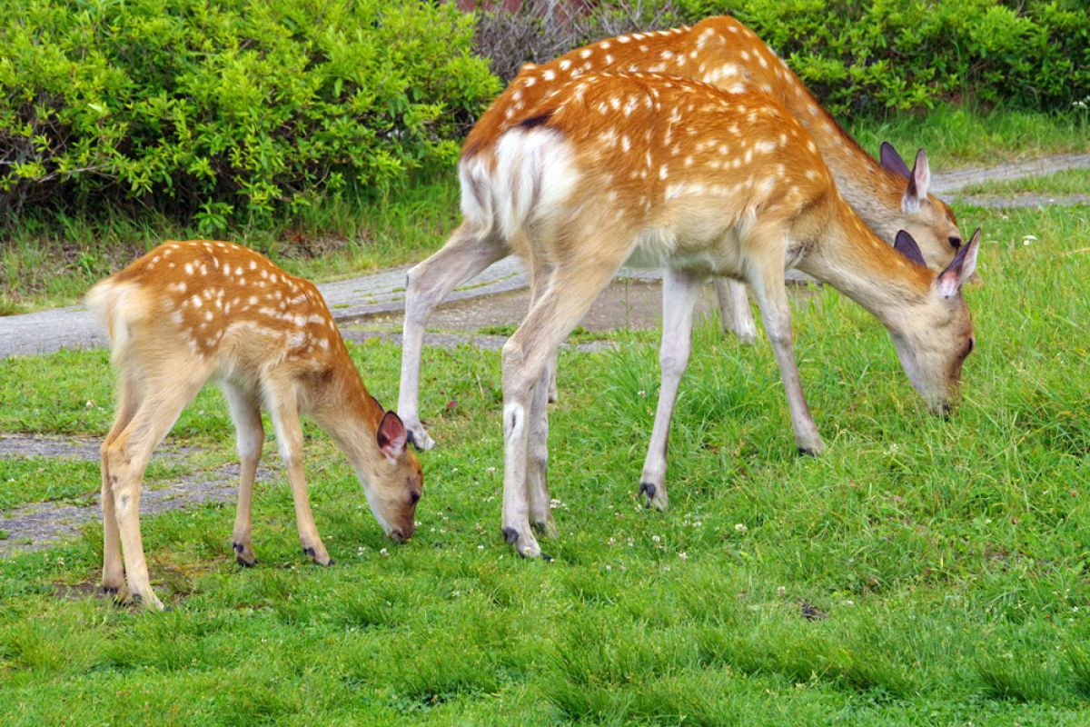 2022夏の道東（17） | GANREF