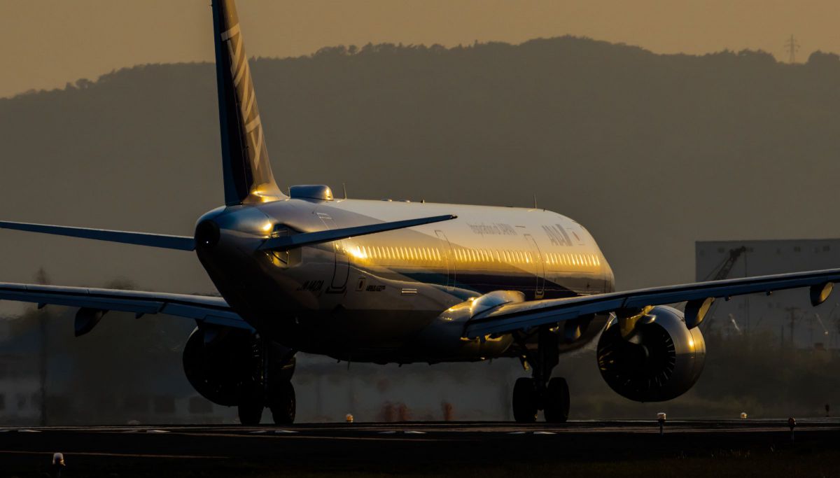 Line up and wait. | GANREF