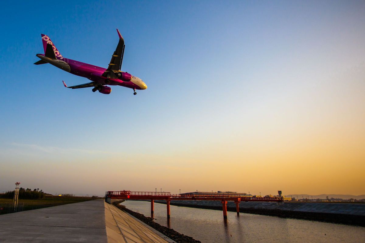 Peach evening arrival. | GANREF