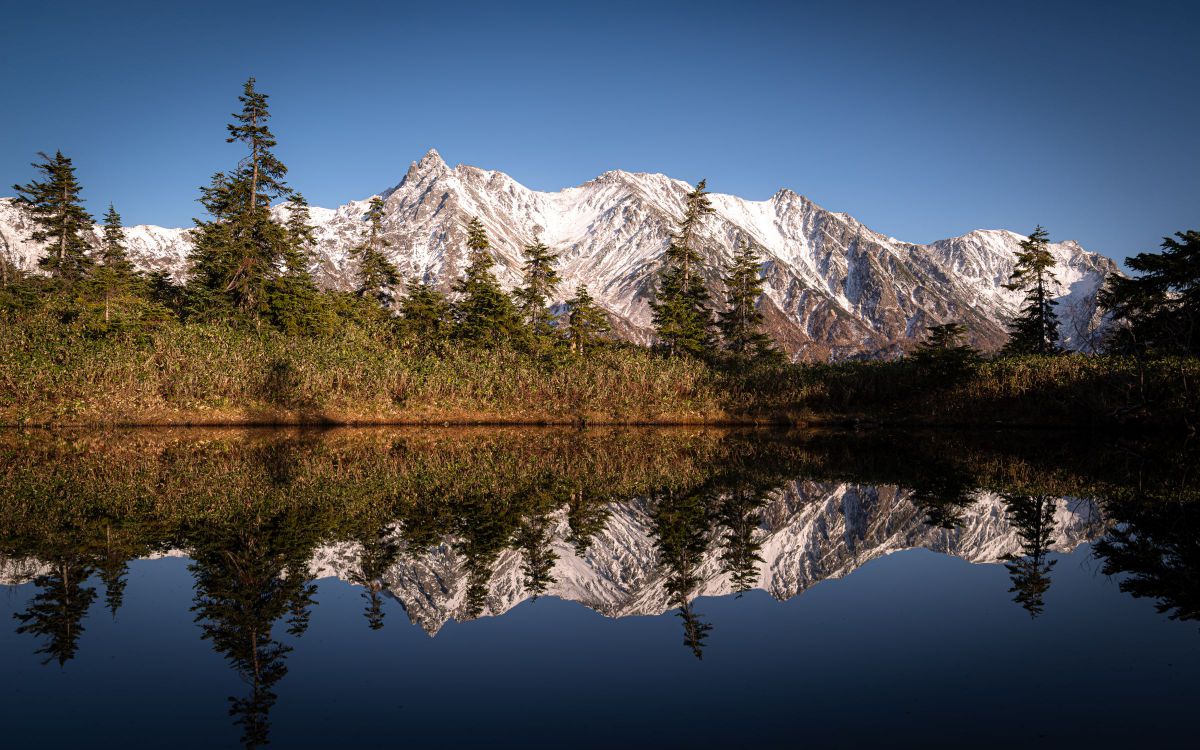 [2023] Perfect Symmetry | GANREF