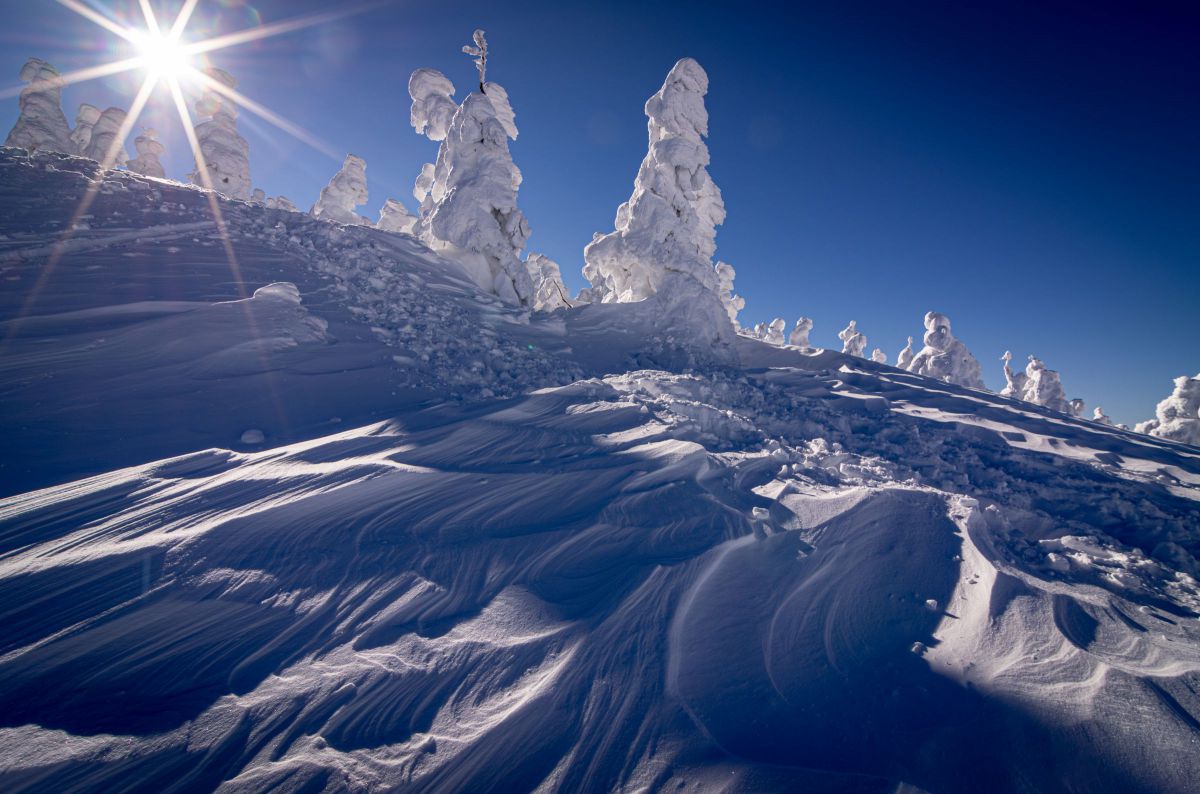 [2023]Different World | GANREF