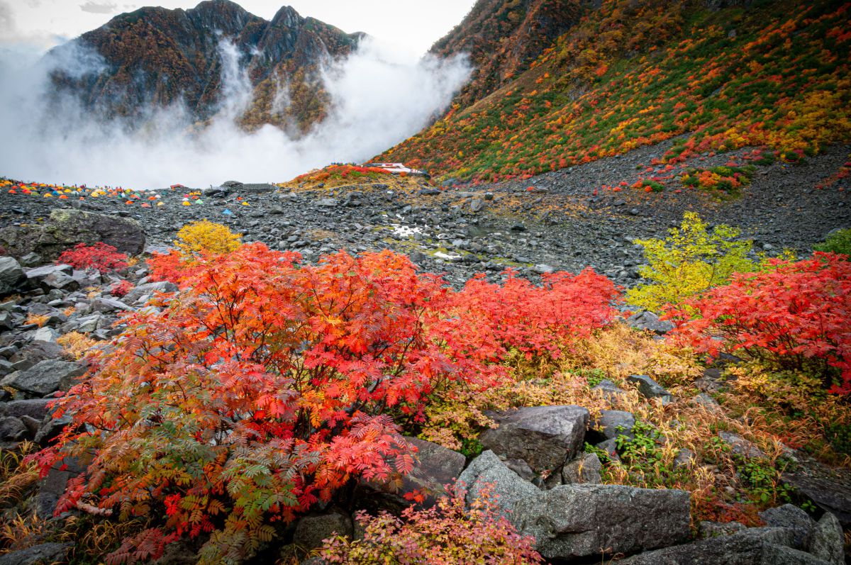 [2023]Karasawa 2011 | GANREF