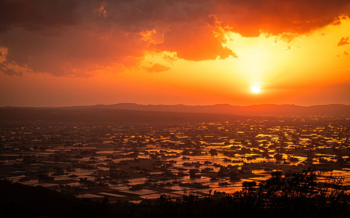 [2023]Spring Magic | GANREF