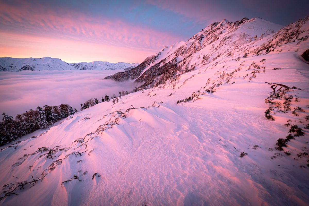 [2023]Precious Moment | GANREF