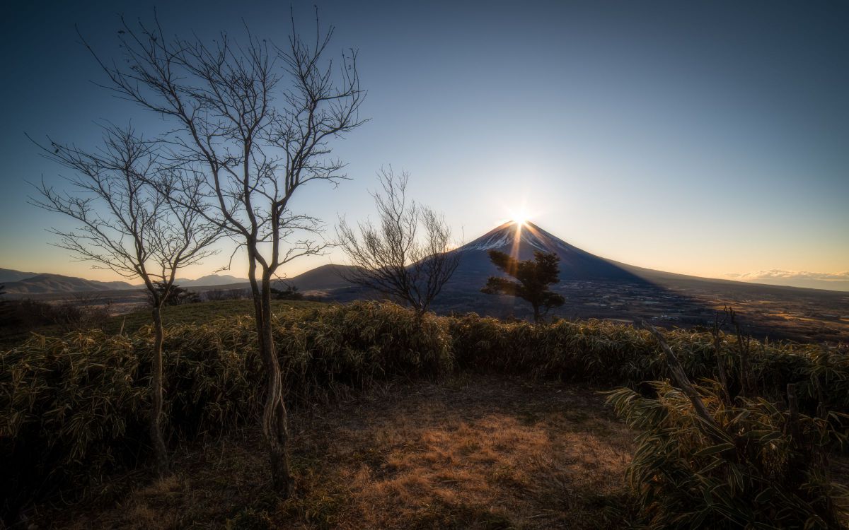 [2022]Diamond Fuji | GANREF