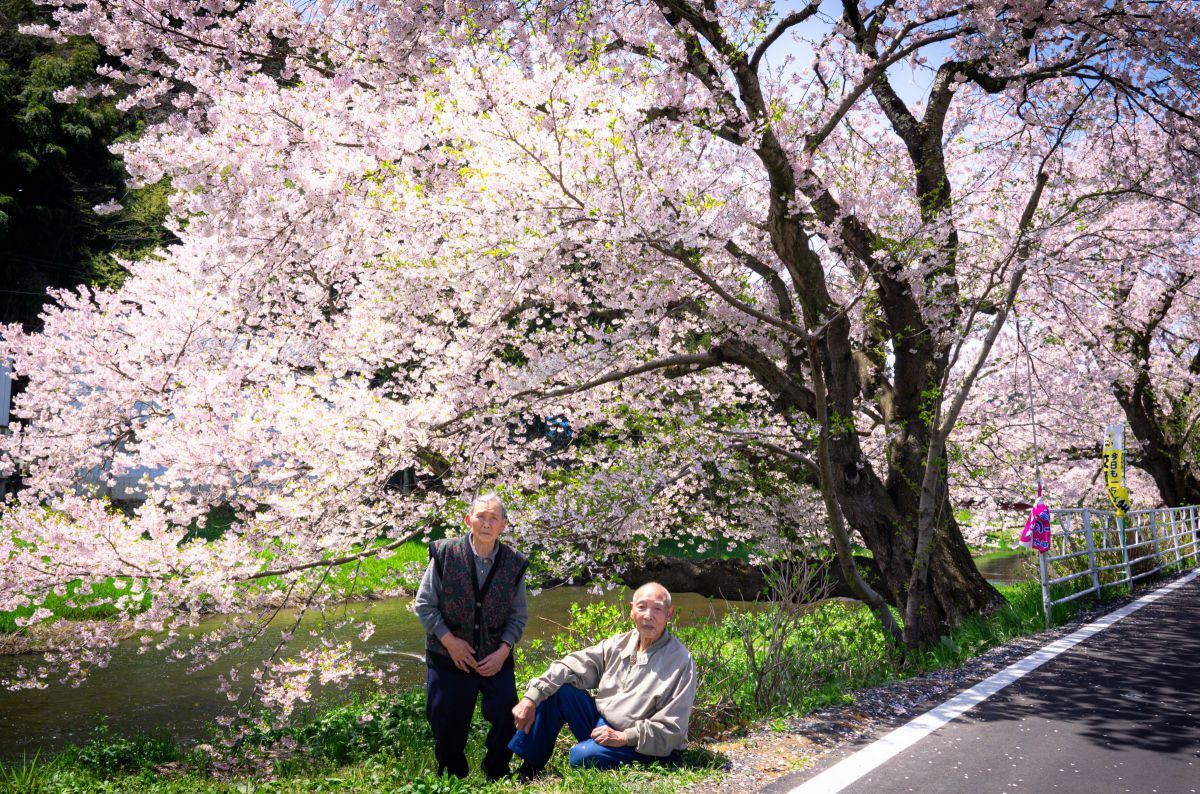 [2023]Way Back From The Watch Shop | GANREF