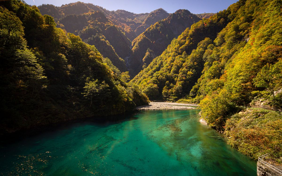 [2022]Legend of Emerald | GANREF