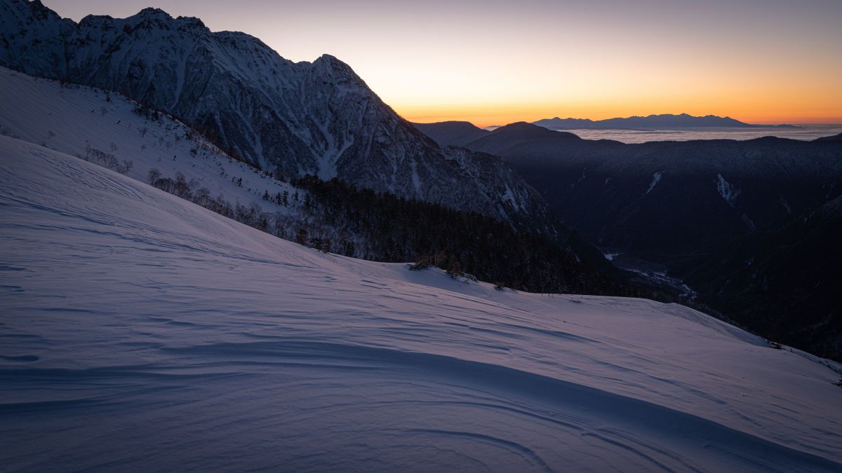 [2023]Blue & Orange | GANREF