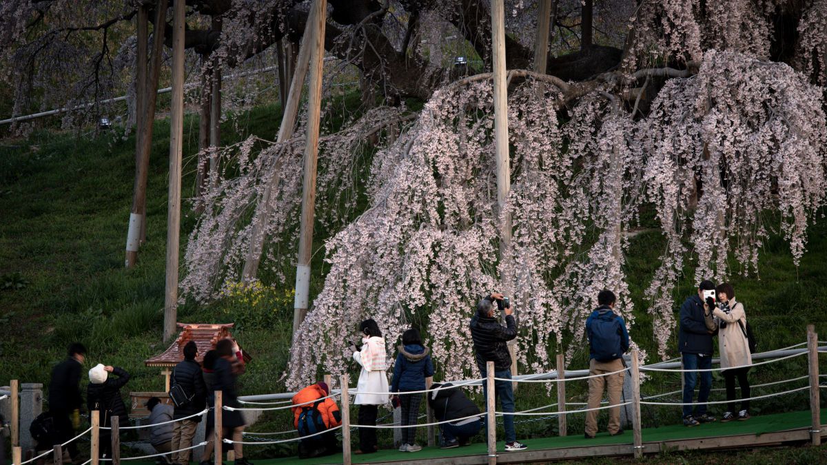 [2023]For Each Their Own | GANREF