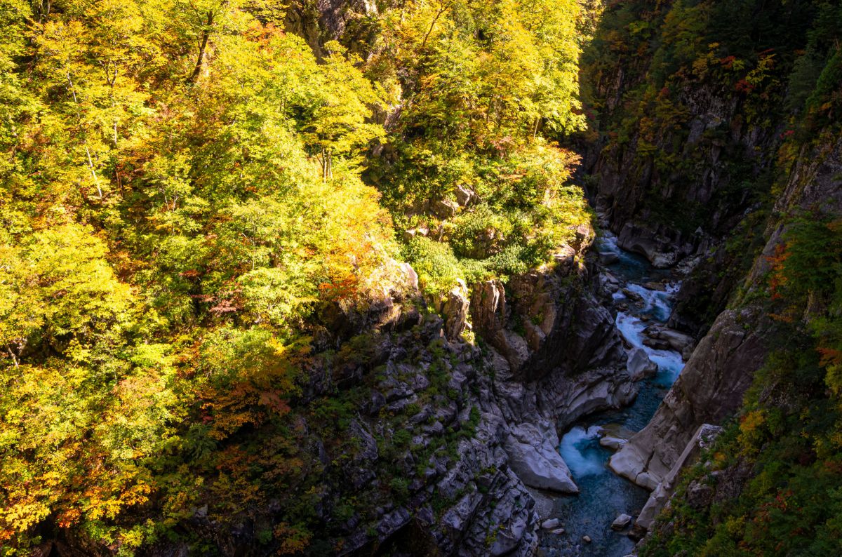 [2023]S-Shaped Gorge | GANREF