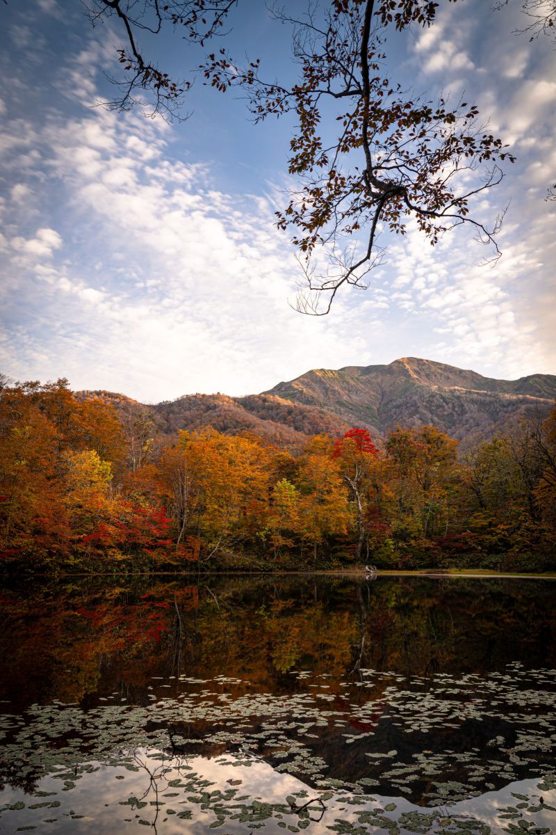 [2023]Famous Spot For Autumn Leaves | GANREF