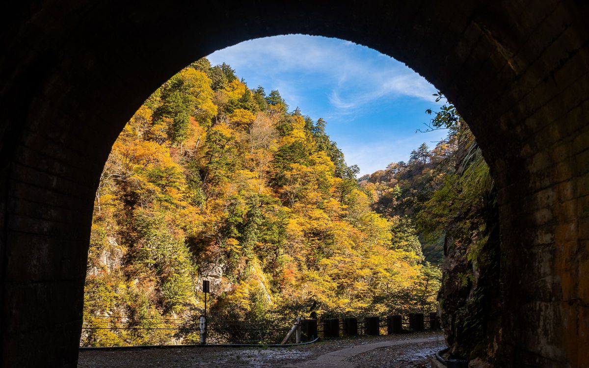 [2022]Through the Tunnel | GANREF