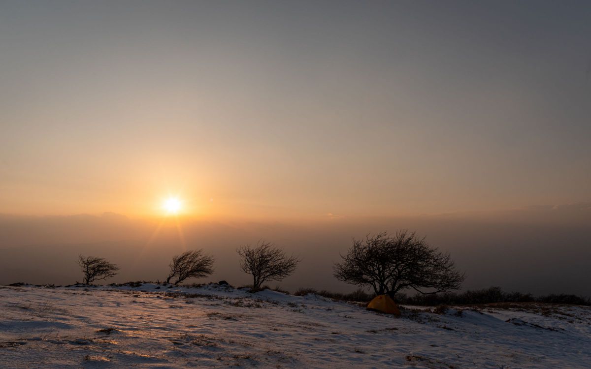 [2022]Escape | GANREF