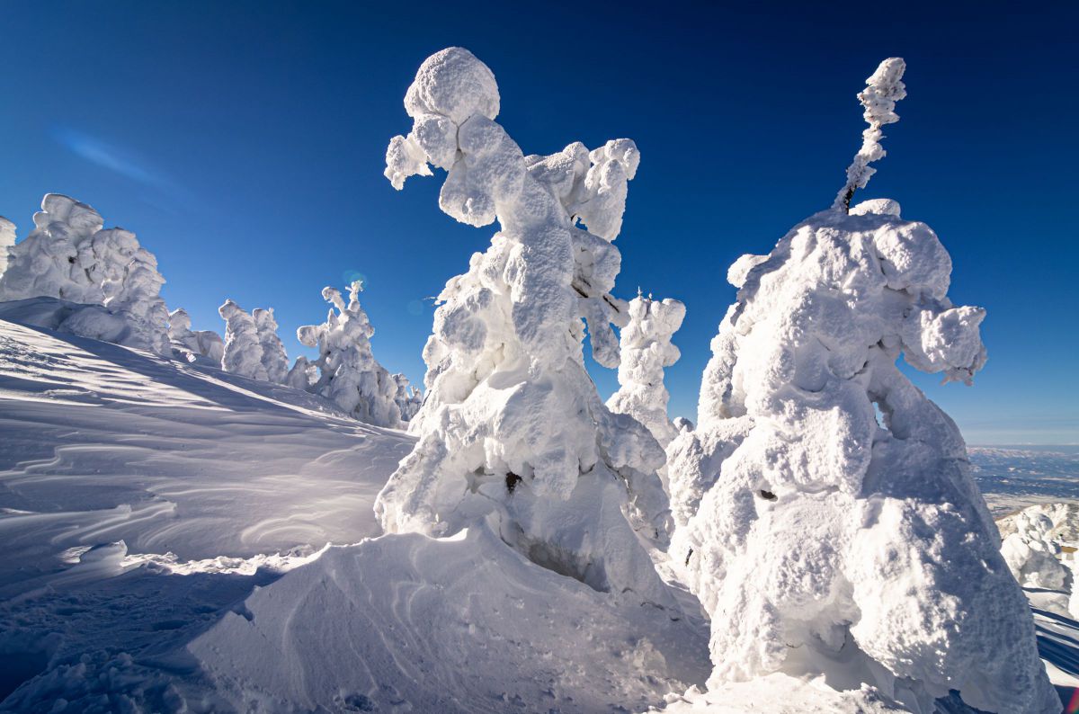 [2023]Different World | GANREF