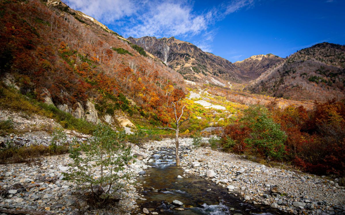 [2023]Okumaruyama Fork In The Road | GANREF