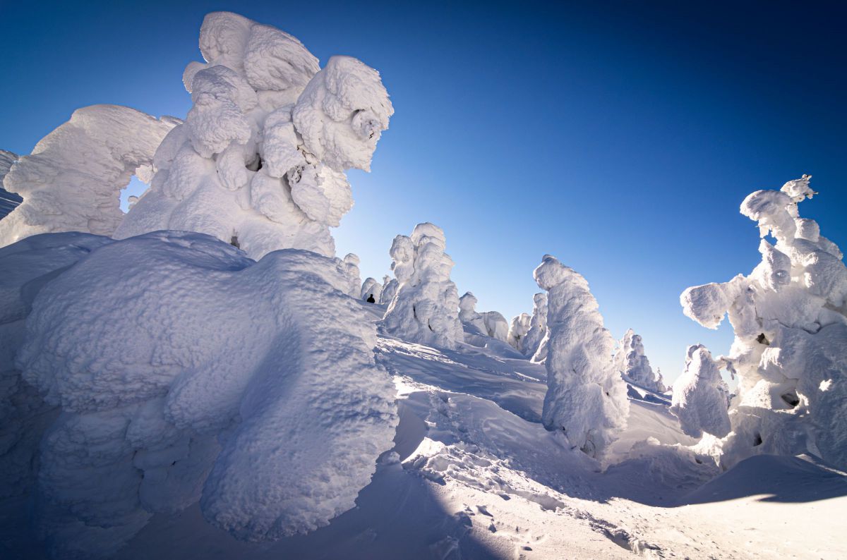 [2023]Monster Hunters | GANREF