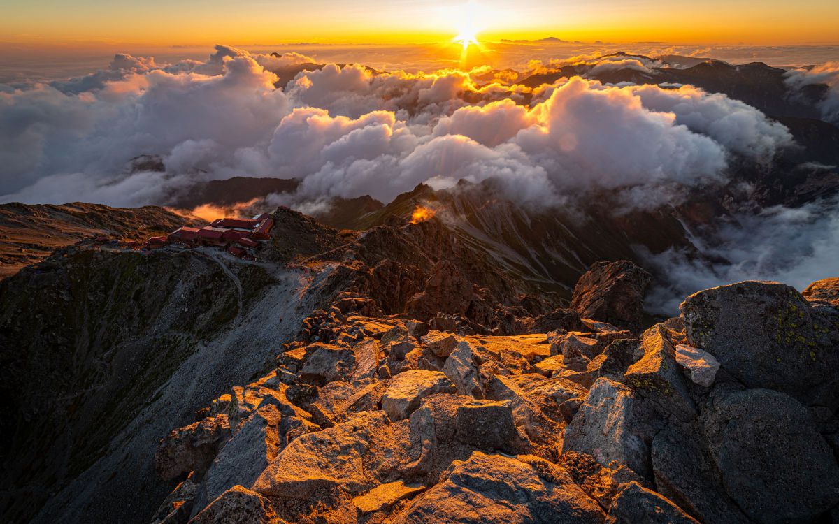 [2023]First Shot | GANREF