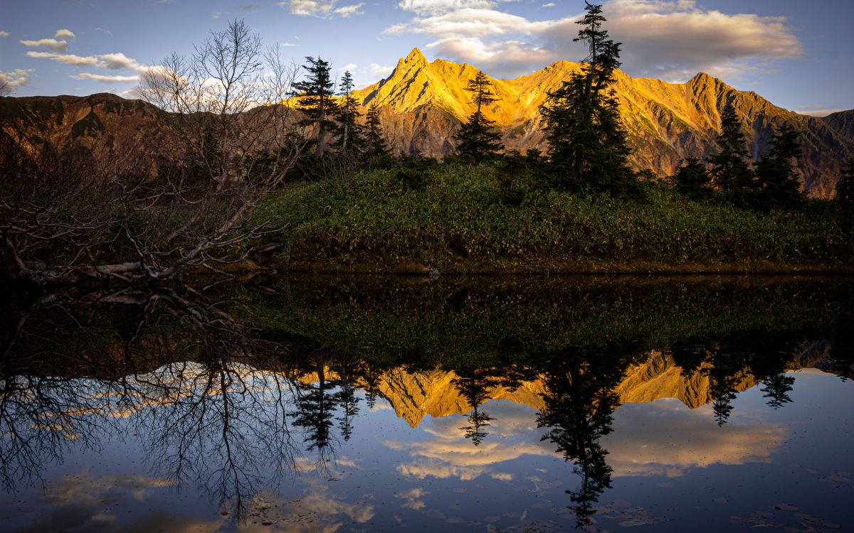 [2023]Reflection Kagamiike | GANREF