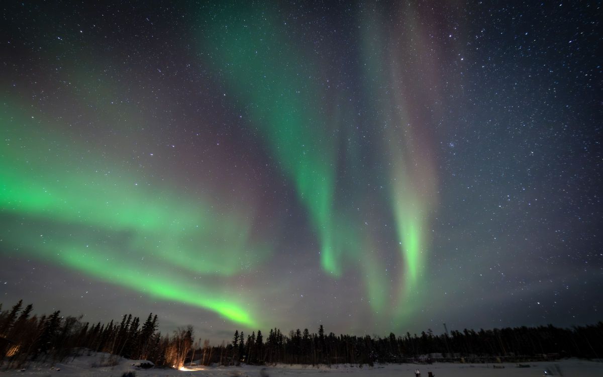 [2024]8 Year's Ago | GANREF