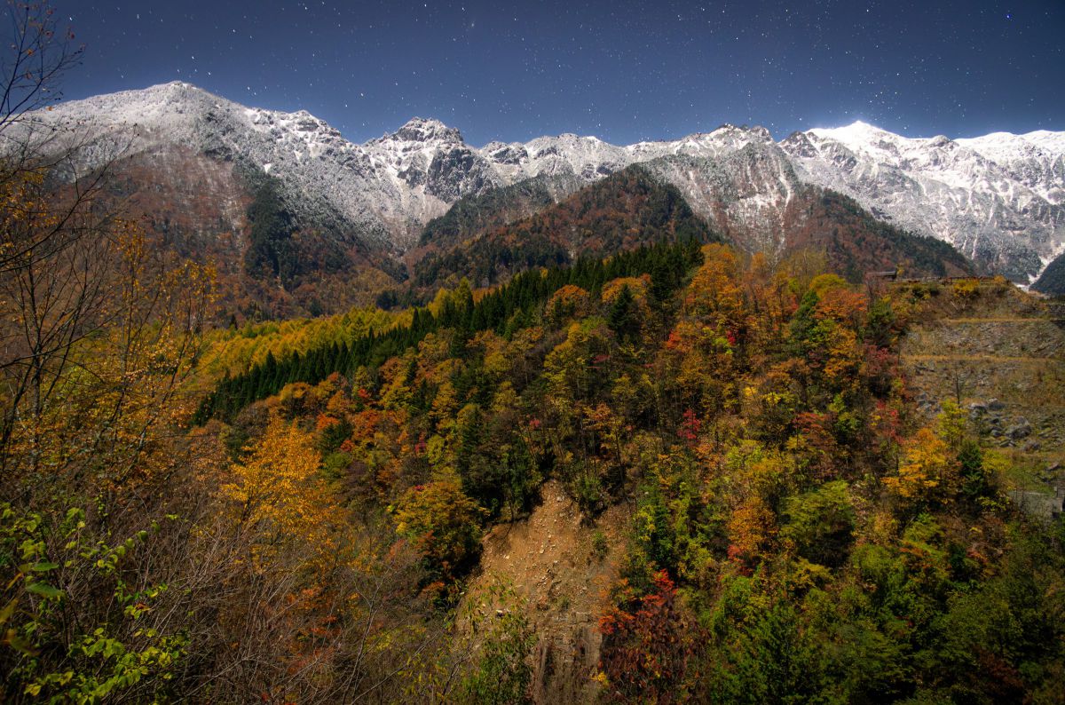 [2023]Moonlit Autumn | GANREF