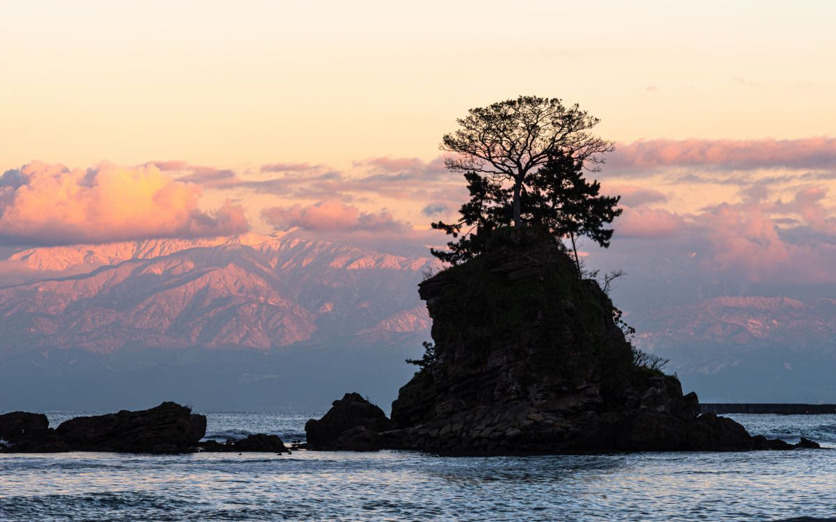 [2023]Evening | GANREF