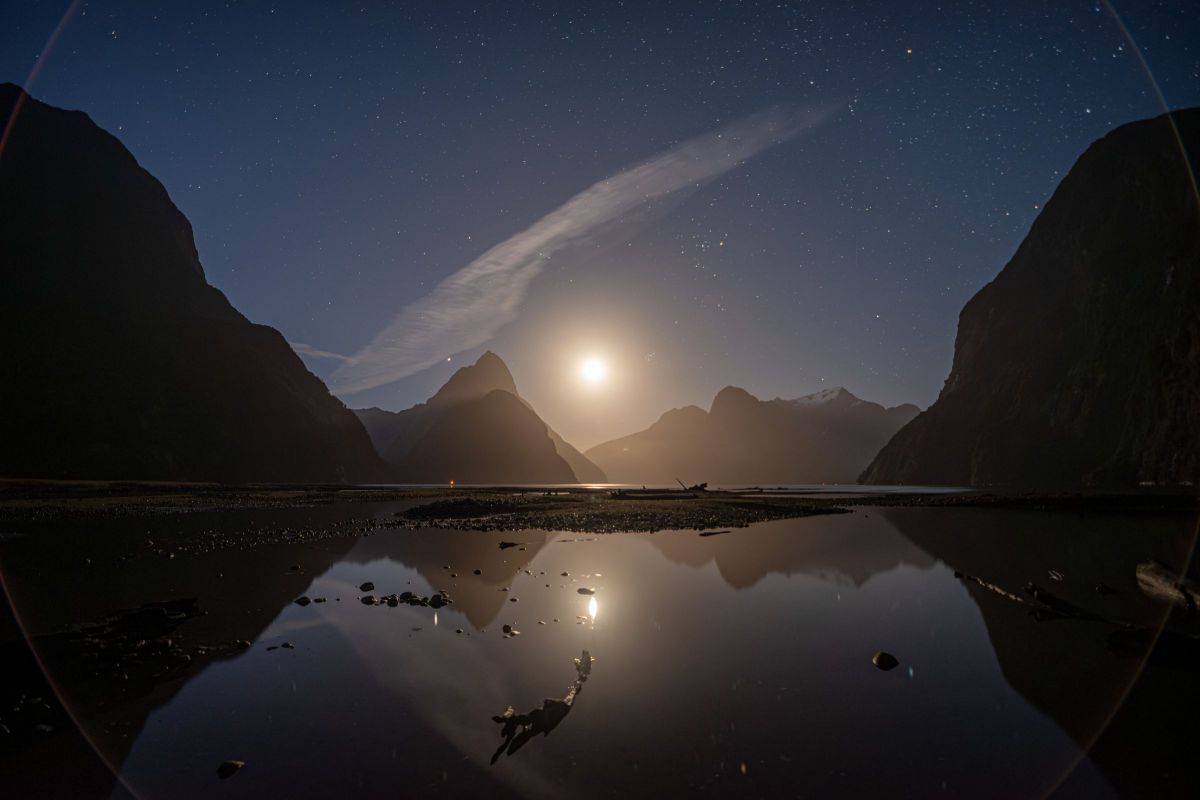 [2024]Double Phantasy | GANREF