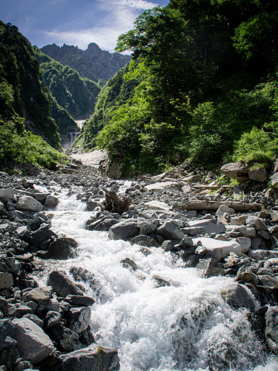 [2023]Splashing Summer | GANREF