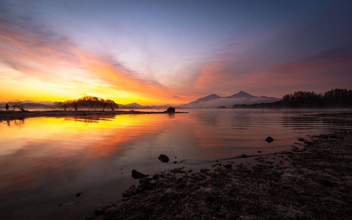 [2023]The Lettuce Party | GANREF