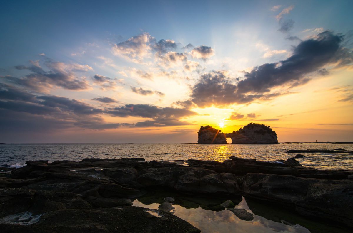 [2023] On The Way Home | GANREF