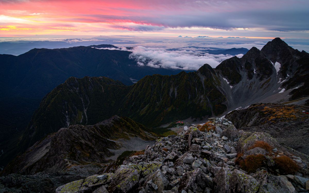 [2023]The Next Week | GANREF