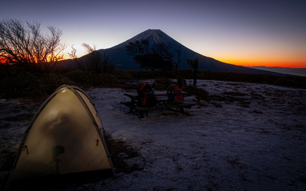 [2023]We Arrived A Little Too Early | GANREF