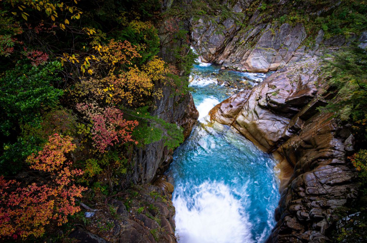 [2023]Juuji Gorge | GANREF