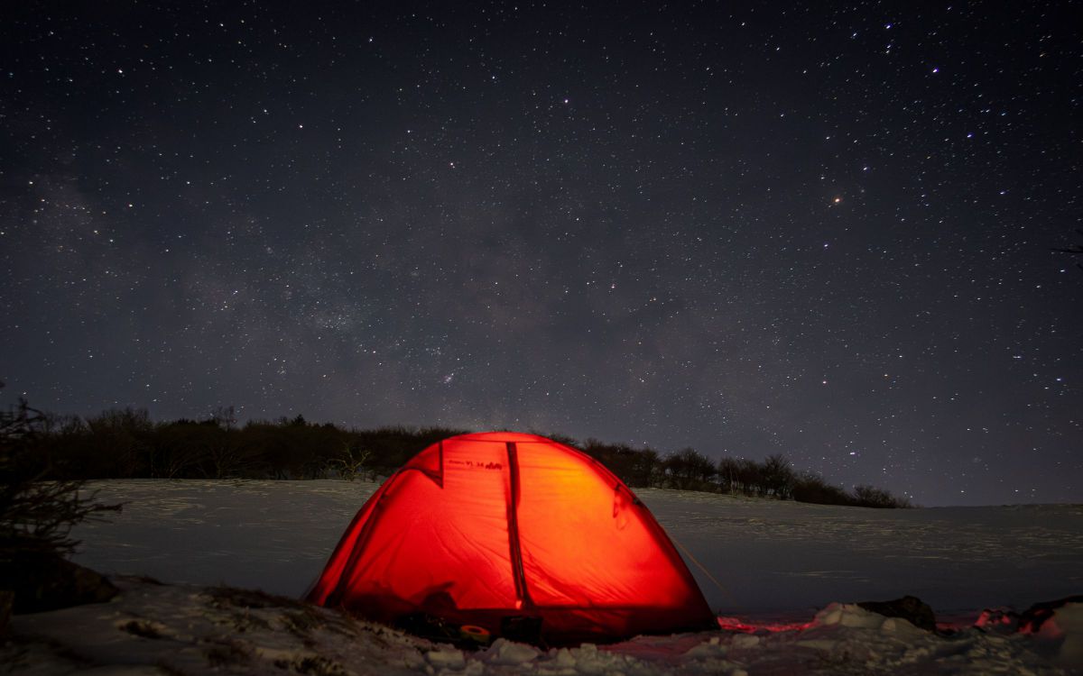 [2023]Winter Camp | GANREF