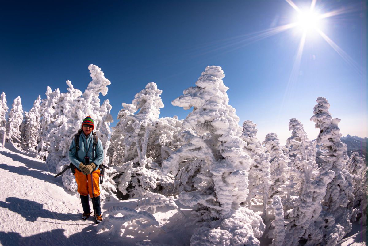 [2023]With Ice Monsters | GANREF