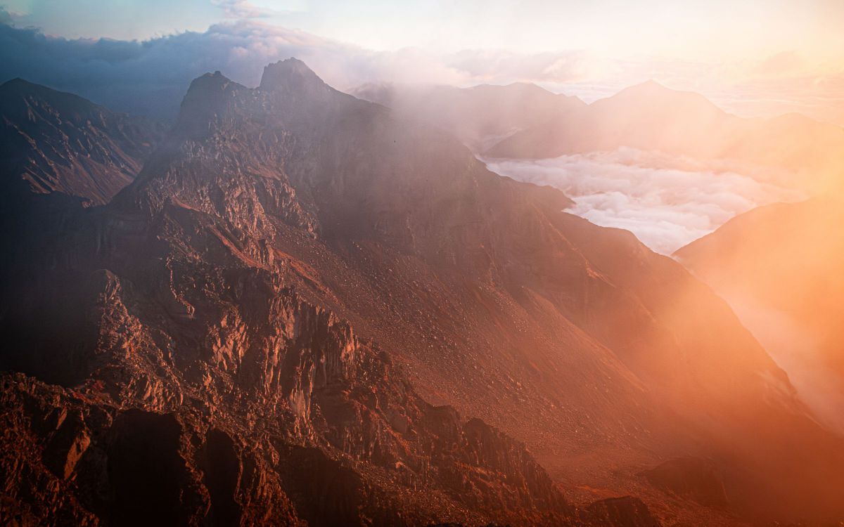 [2023]God's Mischief | GANREF