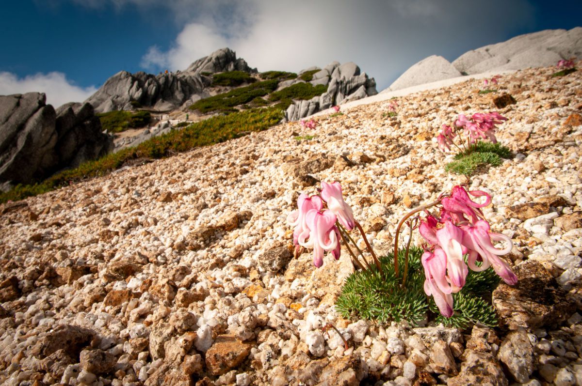 [2023]13years Old | GANREF