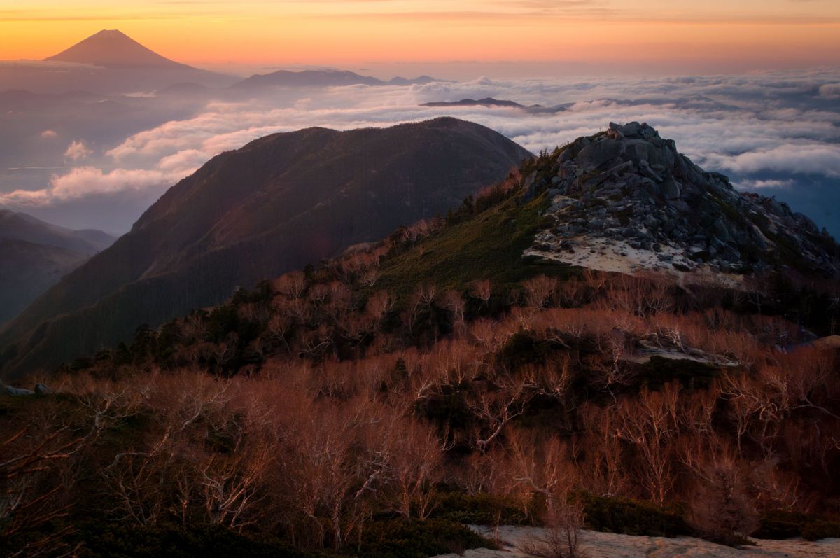 [2023]Early Winter | GANREF