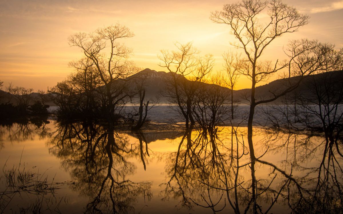 [2023]Oze in Early Spring | GANREF