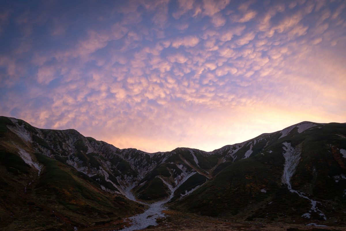 [2023]Monday Magic | GANREF