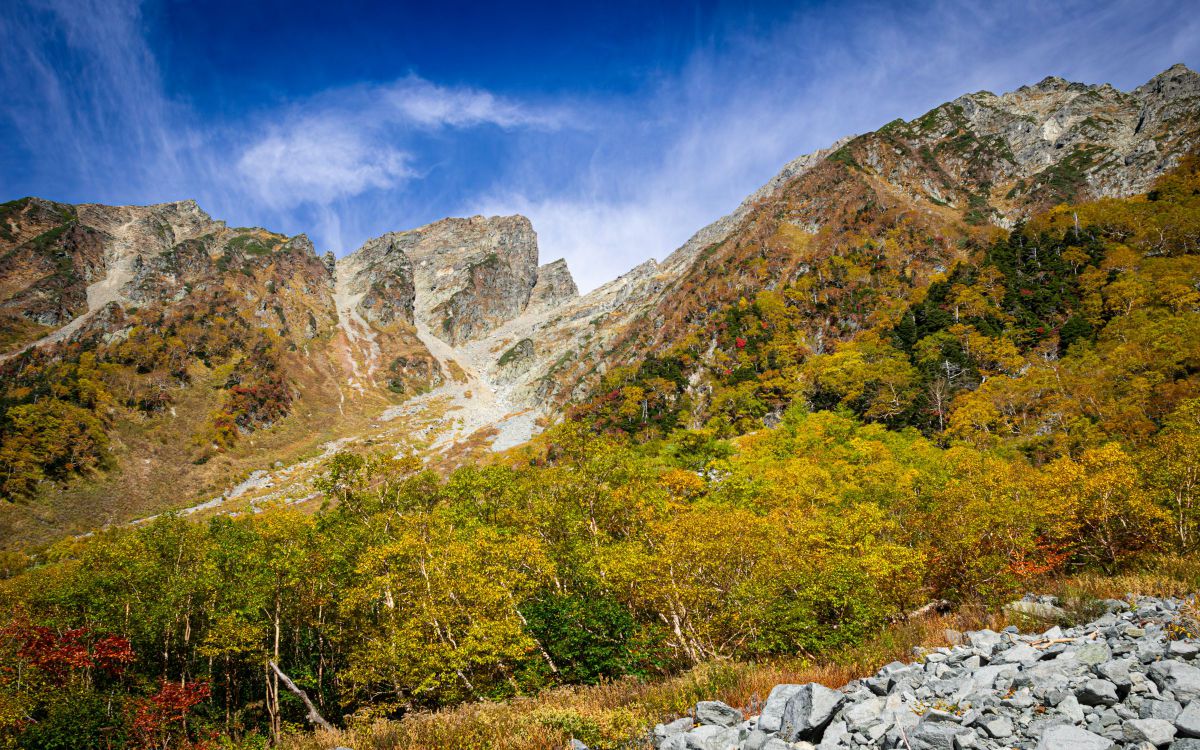 [2023]Yellow Leaves | GANREF