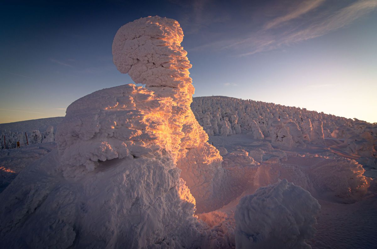 [2023]Shining Monsters | GANREF