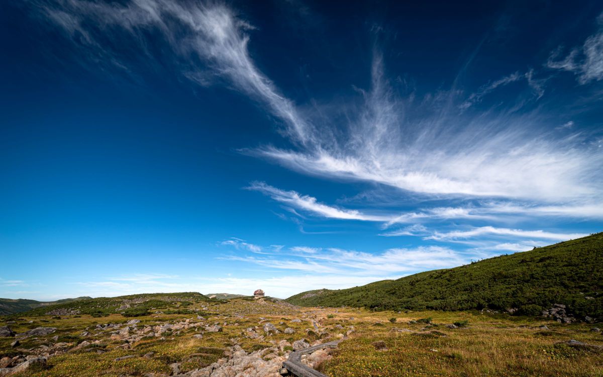 [2023]Second Morning | GANREF