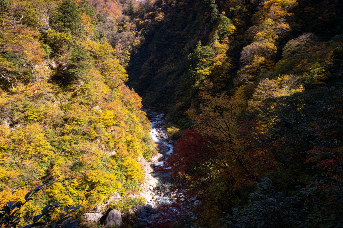 [2023]Untouched Natural Beauty | GANREF