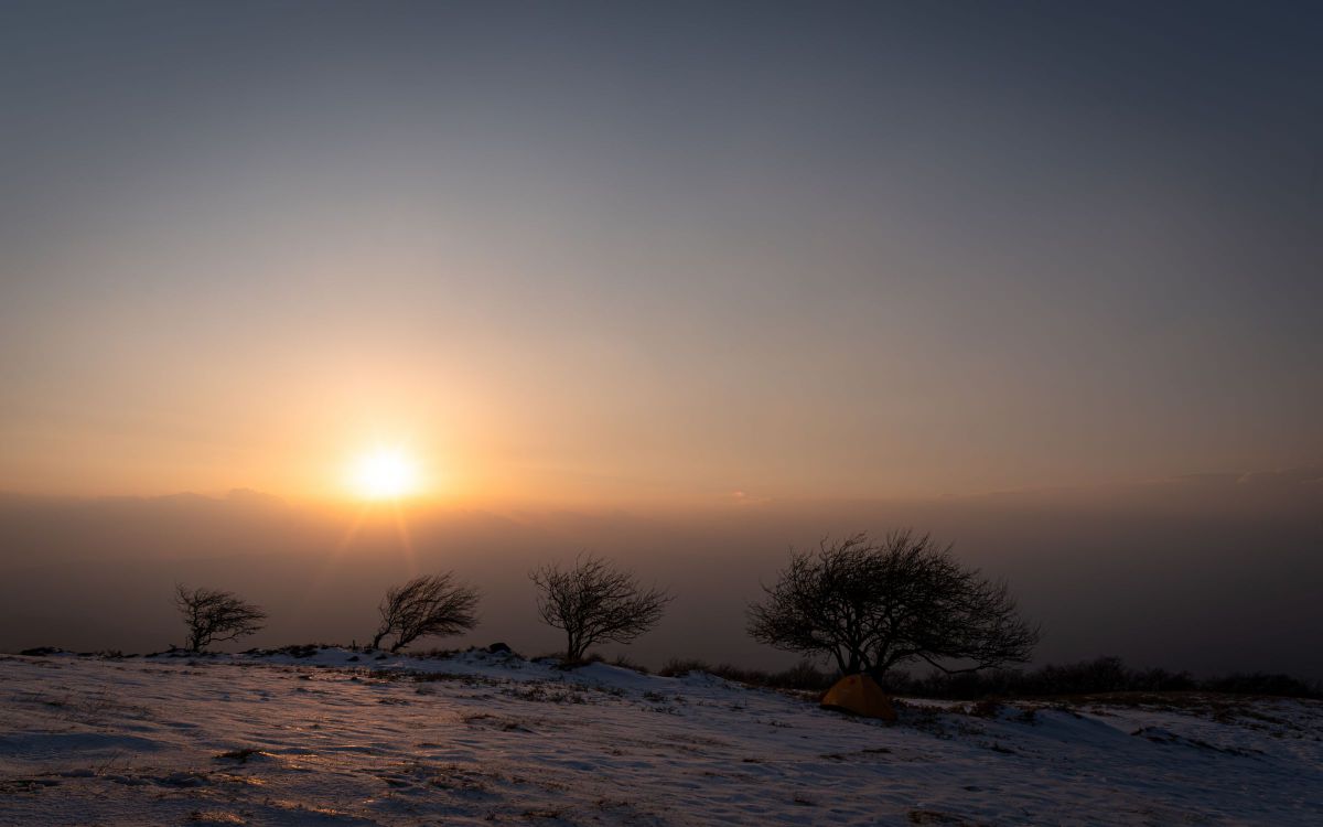 [2023]Withstand Wind And Snow | GANREF