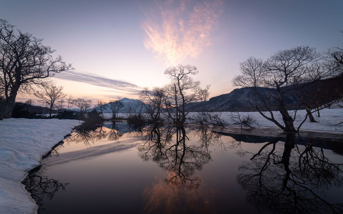 [2023]Symmetry | GANREF